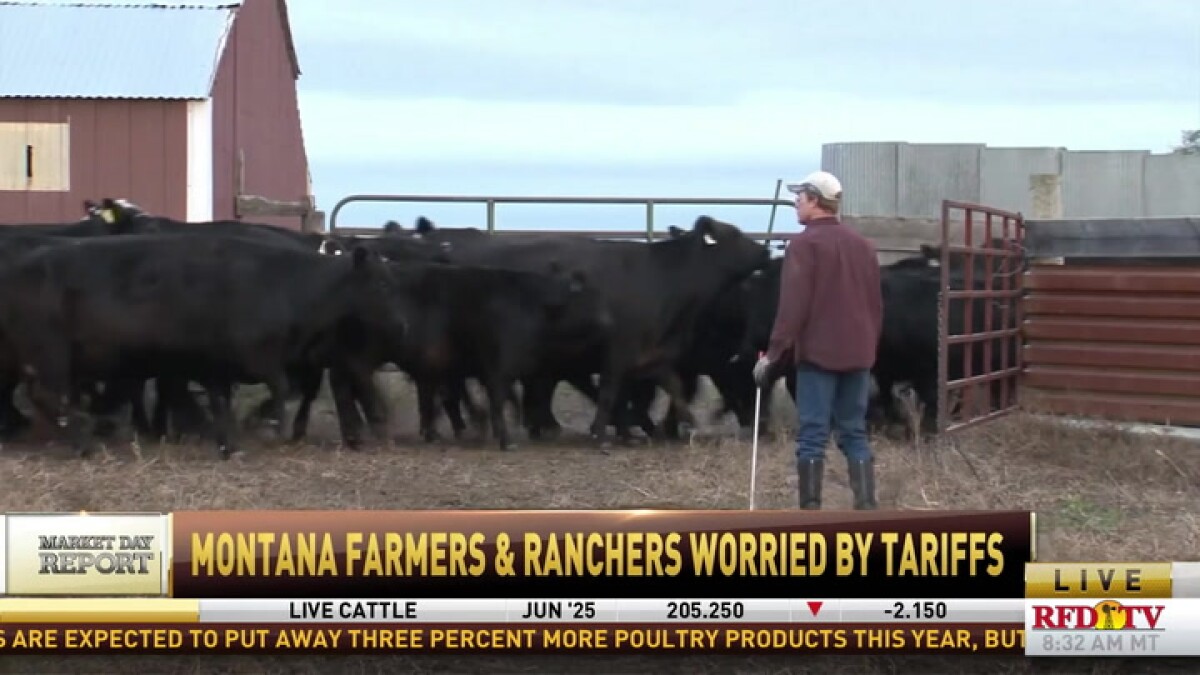 cattle ranchers tariffs