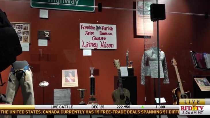 Lainey Wilson went from Louisiana farm kid to a Country Music Hall of ...