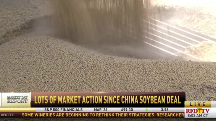 China Moves Closer to Soybean Commitment as USDA Data Catches Up - RFD-TV