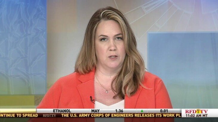 Interview with Emily Engelhard of Feeding America on Child Hunger in ...