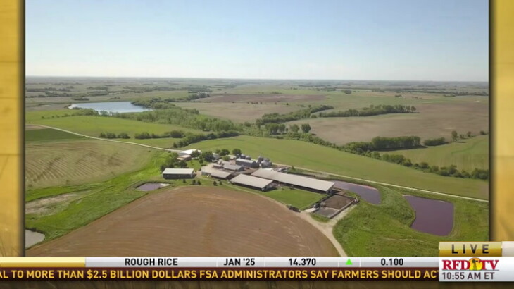 National Milk Day: Let's check out Buessing Dairy's operation - RFD