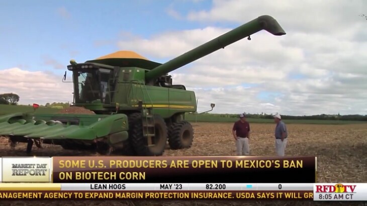 U.S. corn growers are standing behind Mexico's decision on biotech corn ...