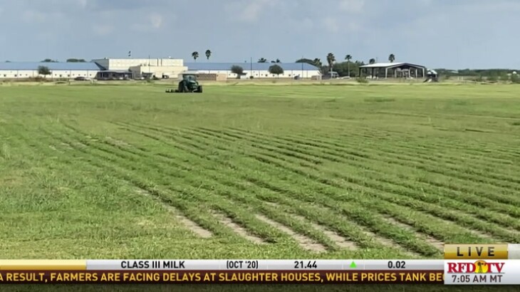 2020 has been a good year for sod farmers - RFD-TV