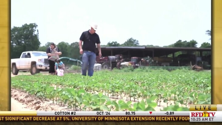 Can't Leave Ag At The Door: Let's see how Louisiana is helping ...