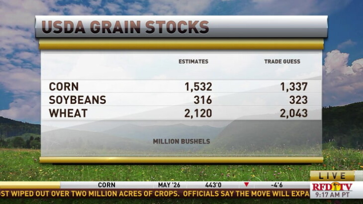 USDA Releases Final Grain Stocks Estimates - RFD