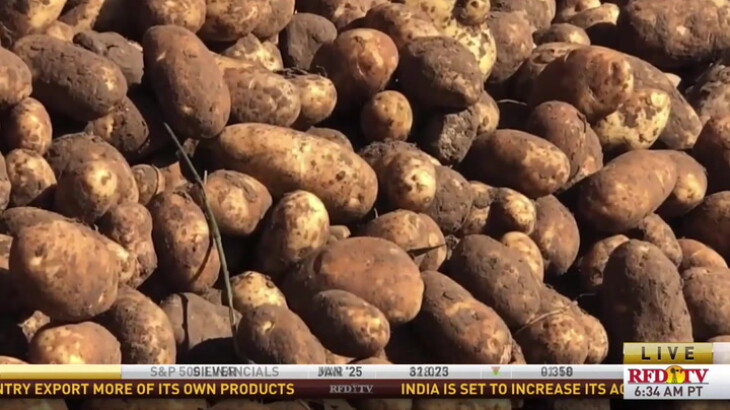 Potato War: Are they a vegetable or a grain? - RFD