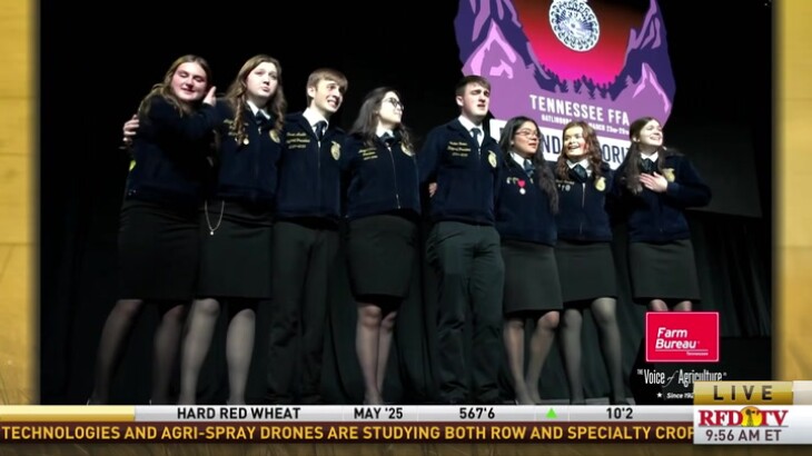 It's Like A Party! Blue and Gold covered Tennessee for the 97th annual ...