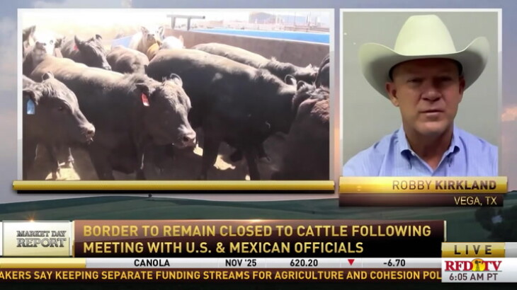 Beef Industry Faces Tight Supplies, Policy Fights, and Global Trade ...