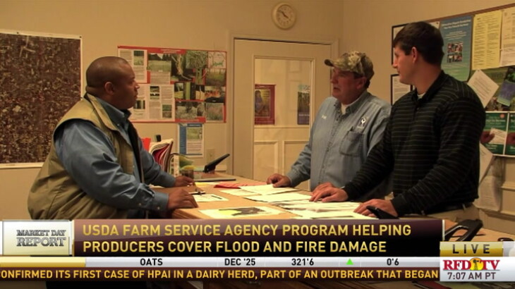AFBF: How Livestock Producers Can Qualify for USDA's ELRP Disaster Aid ...