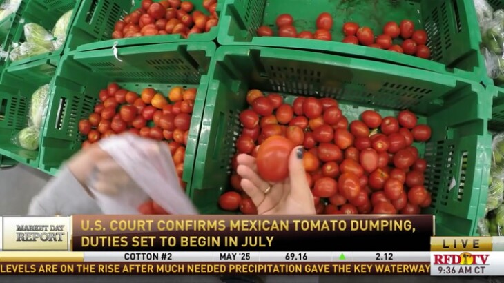 The Court of International Trade Has Confirmed Mexican Tomato Dumping ...