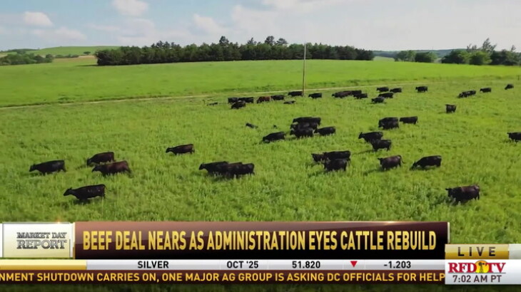 DOJ, USDA Deal to Lower Beef Prices Nears As Administration Eyes Cattle ...