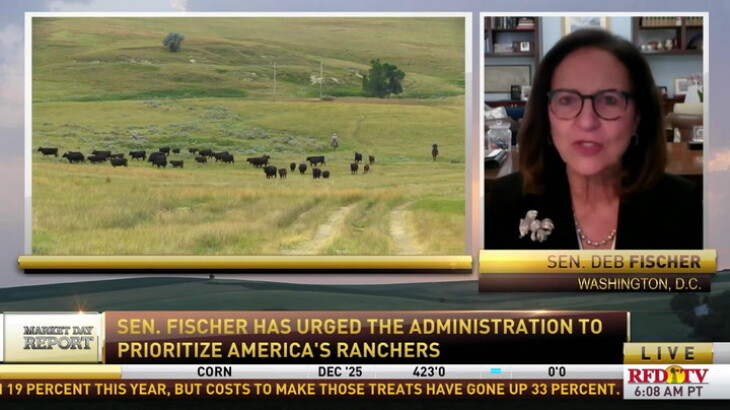 Nebraska Sen. Deb Fischer Calls USDA Beef Industry Plan 'A Step in the ...