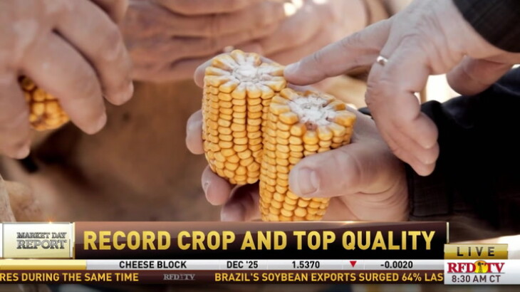 Corn Report Highlights Record Yield and Top Quality - RFD
