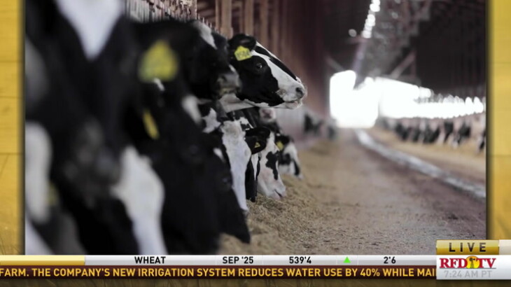 Dairy Month: Let's take a visit to California's Silveira Dairy - RFD