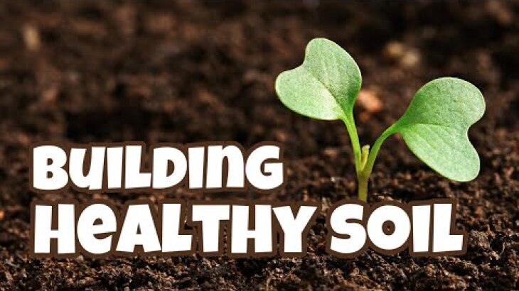 Learn to Grow: Building healthy soil in your organic garden - RFD-TV