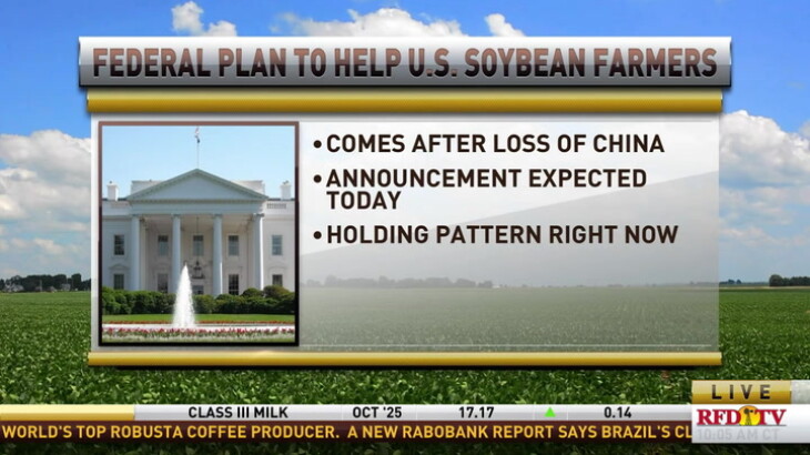 Shutdown Puts Farm Bill, USDA Funding in a Time Crunch - RFD