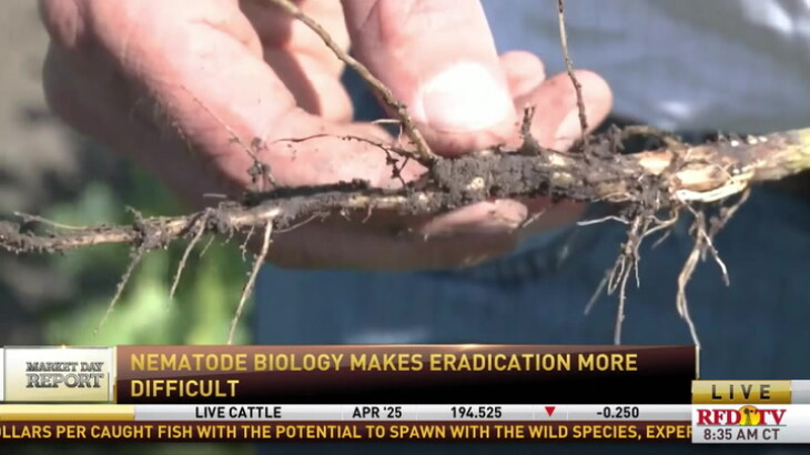 Why are nematodes so hard to get rid of? - RFD