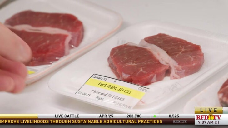 The University of Arkansas is looking to extend the shelf life of beef ...