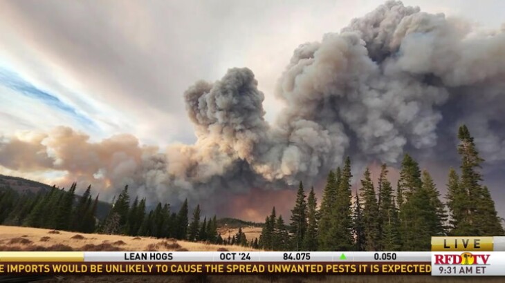 Fire officials aren't "losing focus" of the Elk Fire and its potential ...