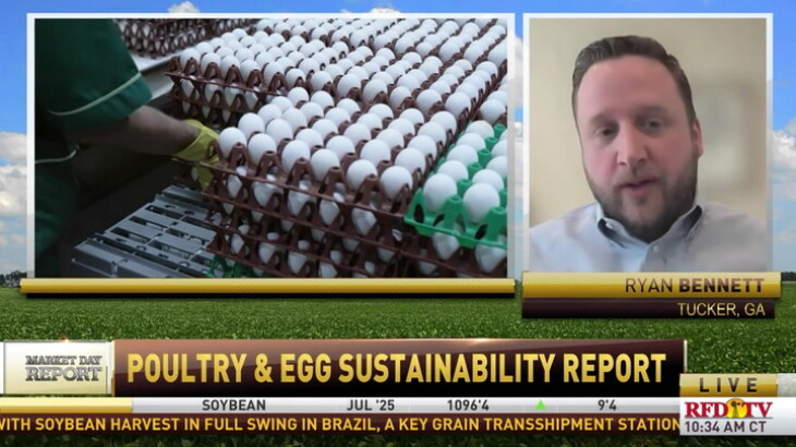 Report: U.S. poultry and egg supply chain reaches a sustainability ...
