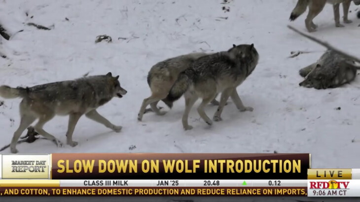 Following a recent county vote, the voices show that Colorado wants to ...
