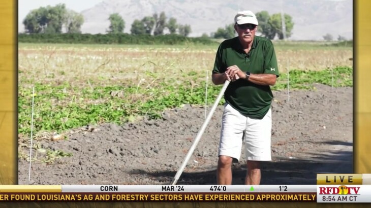 This award-winning conservationist says it's all about letting nature ...