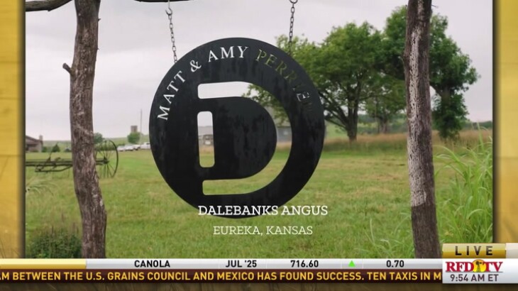 "Angus Is In Our Blood": Let's meet Dalebanks Angus from Eureka, Kansas ...