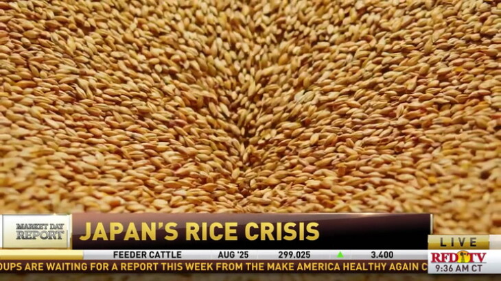 Japan Is Facing A Rice Shortage - RFD