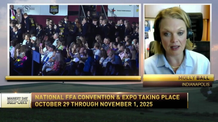 Countdown to Convention: National FFA Foundation President Molly Ball ...