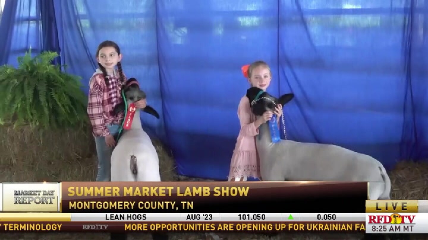 4-H kids get a special shot to show their sheep in the summer - RFD-TV