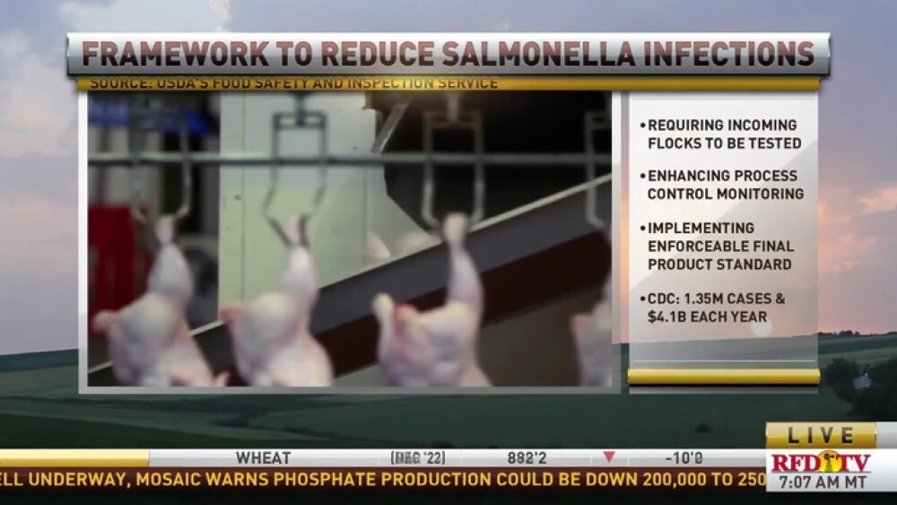 PHOTO GALLERY: The Cowboy Channel's Rose Parade float - RFD-TV