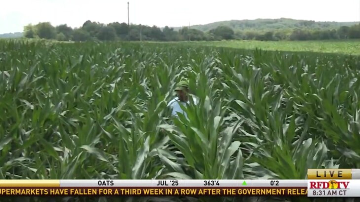 Growers are giving their crops a nutrient boost thanks to Mosaic - RFD-TV