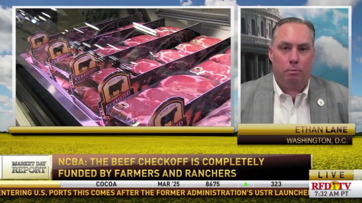"We have to stay relevant": NCBA weighs in on the value of the Beef ...