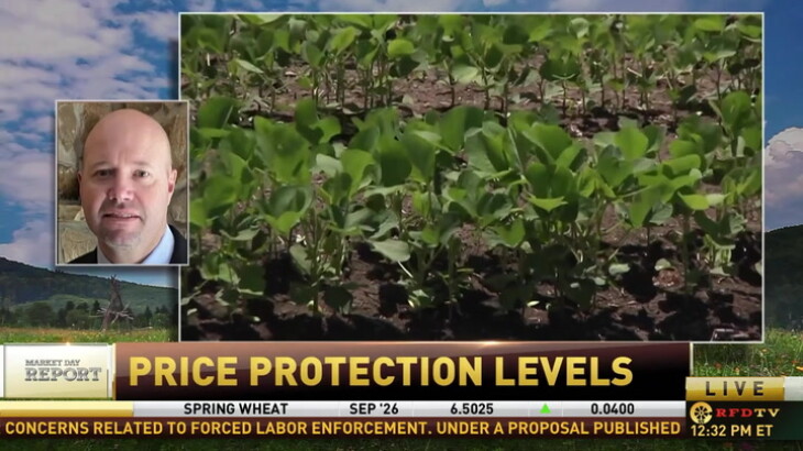 Crop Insurance Remains a Key Tool as Volatility Becomes The New Normal ...