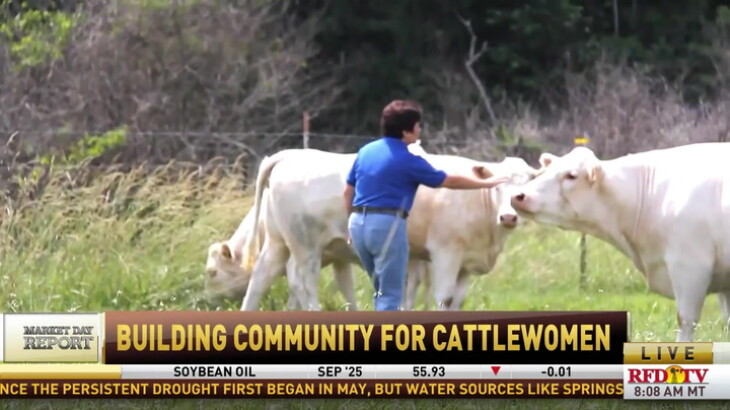 Kansas State University is looking to build confidence and community ...