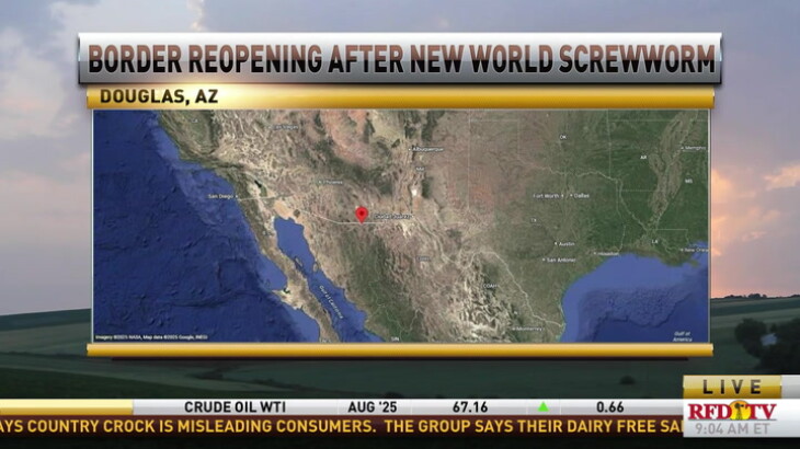 U.S. is reopening its border with Mexico for cattle, bison, and equine ...