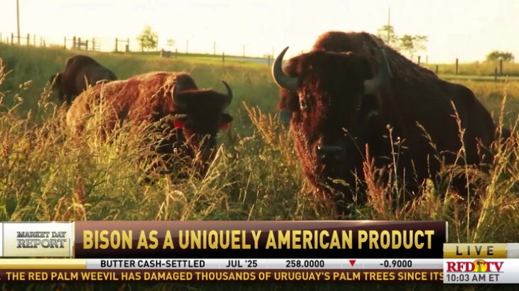 Good Problem To Have: Growing consumer preference for bison is adding ...