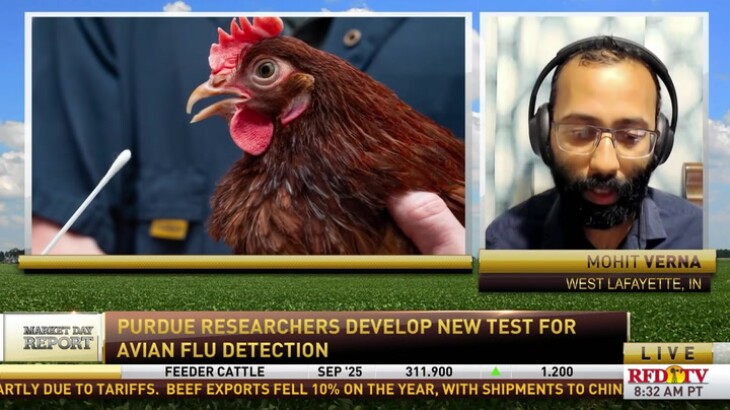 An expert from Purdue University offers insight into rapid HPAI ...