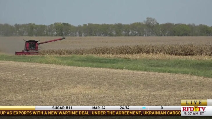 Condition Update: Illinois farmers couldn't have asked for better ...