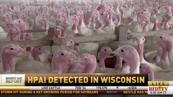 New Year, New Cases: An update on HPAI detections over the last two ...