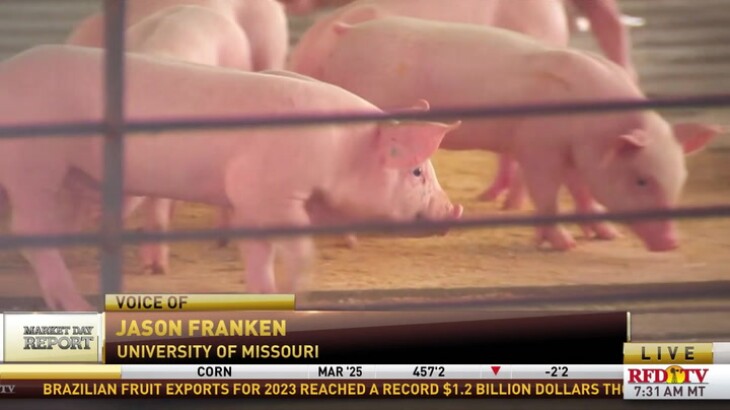 Last year had a record pig crop thanks to a record pigs per litter - RFD-TV