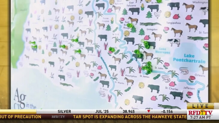 Lotta Hard Work For Convenience: Let's check out Louisiana's Fast Food ...