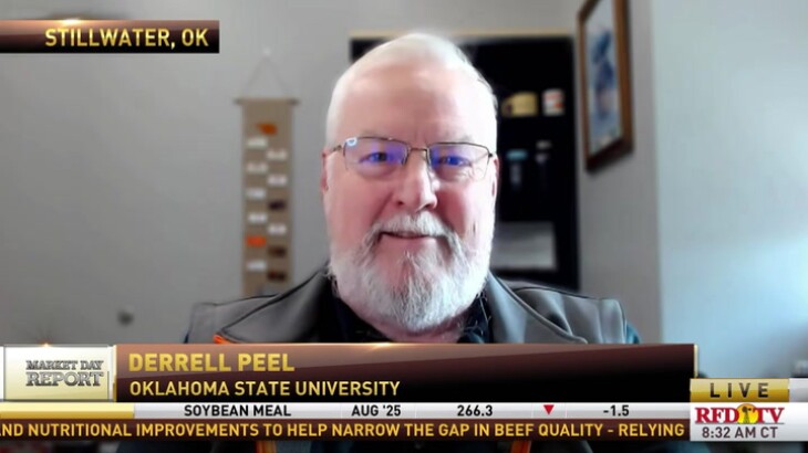 Cattle On Feed: Oklahoma State's Derrell Peel shares what stuck out to ...