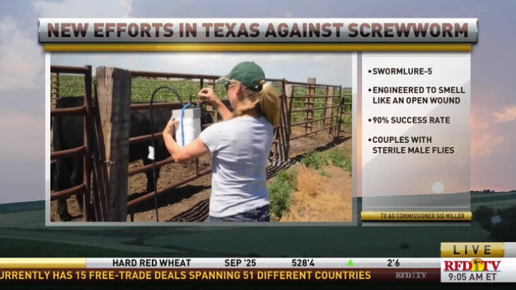 Texas' Sid Miller deploys a new tool against New World Screwworm - RFD